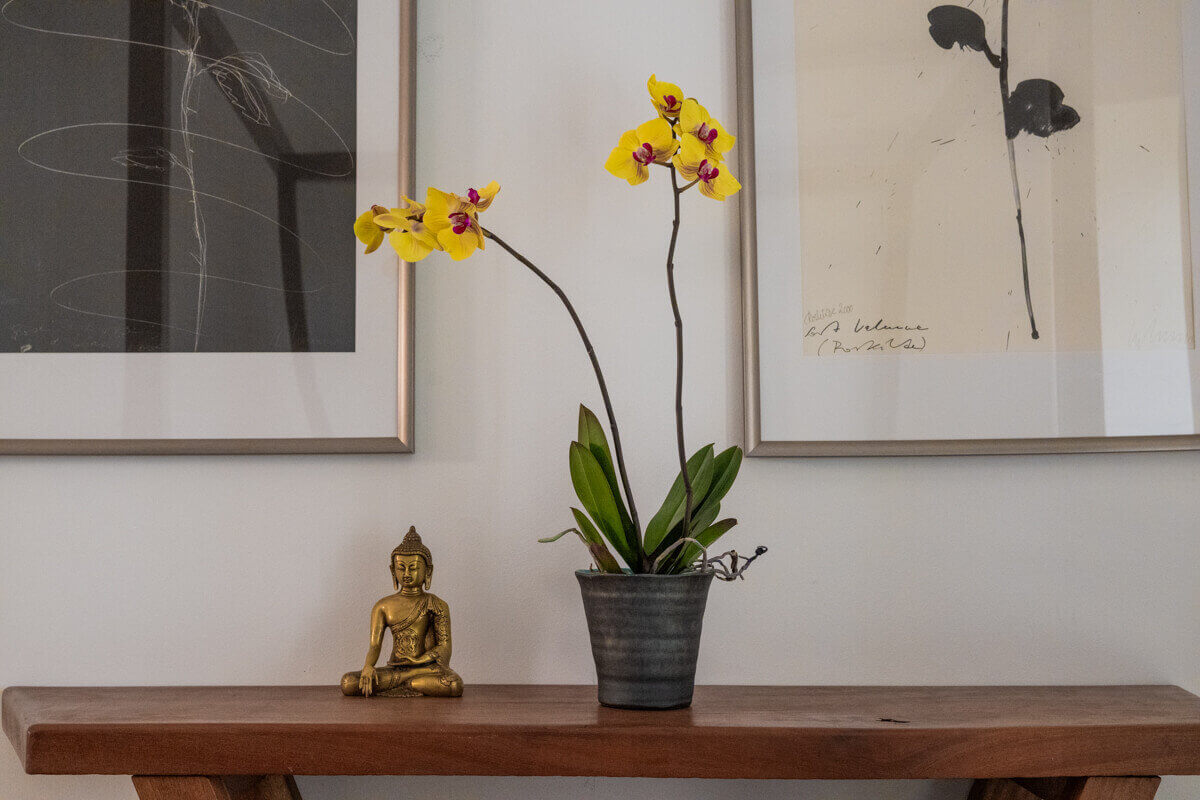 Tings Lisbon's Lemon Tree Lounge at. Graça Boutique Room.