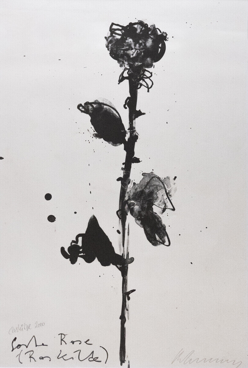 Tings Lisbon's Lemon Tree Lounge at. Graça Boutique Room.